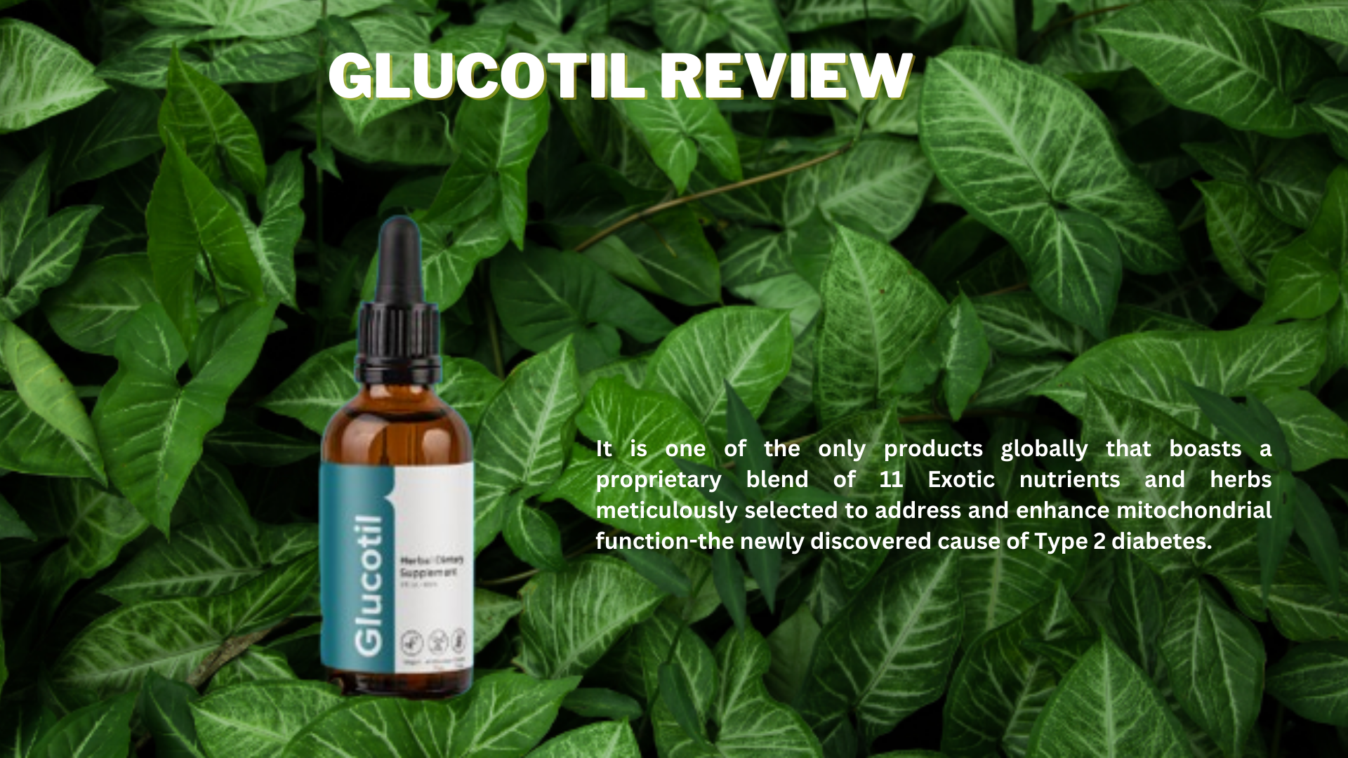 Glucotil Review- Pros and Cons, The Latest Customer Results Reported ...