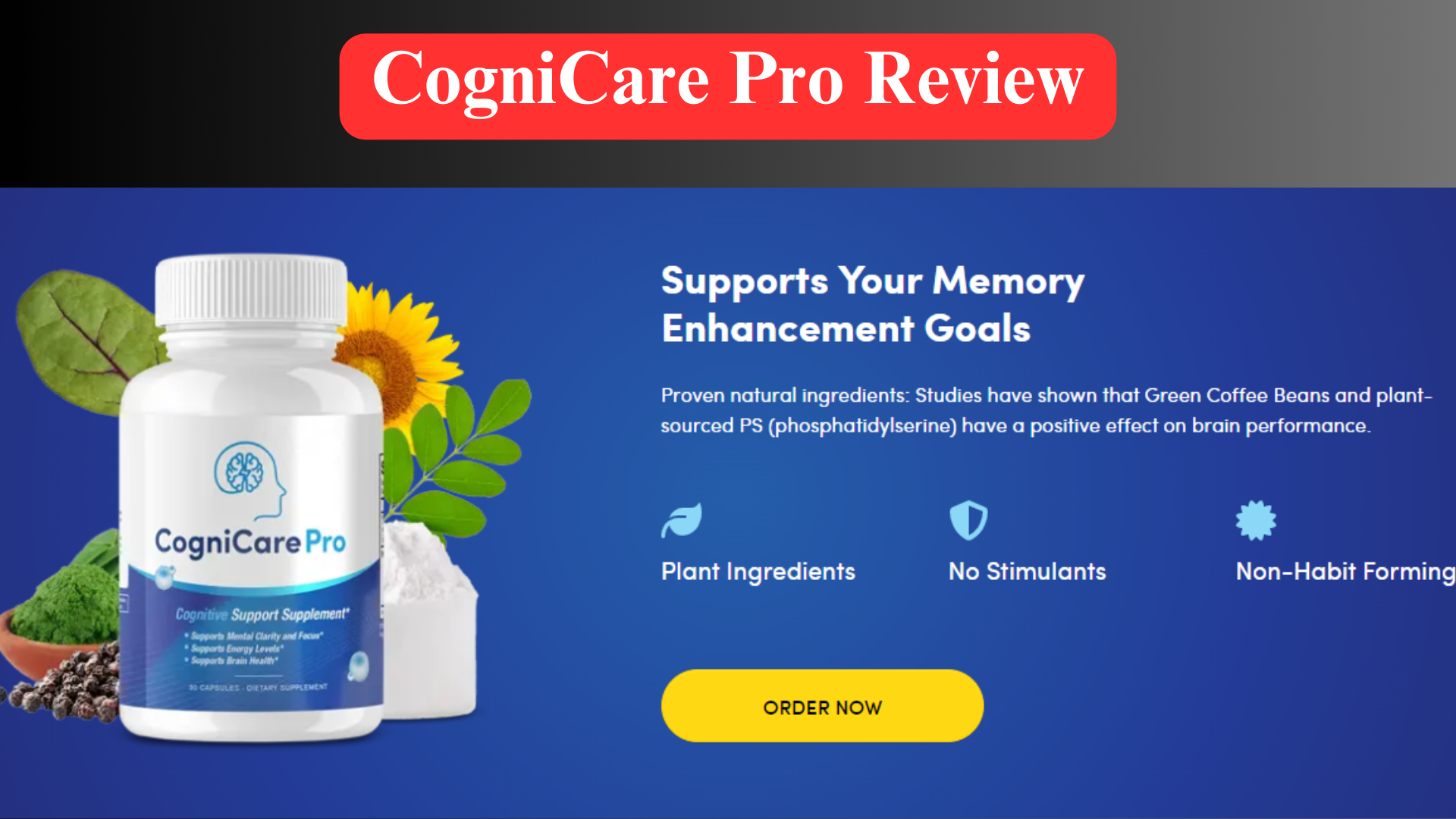 CogniCare Pro Review 2024: Does It Truly Support Brain Health? Legit or ...