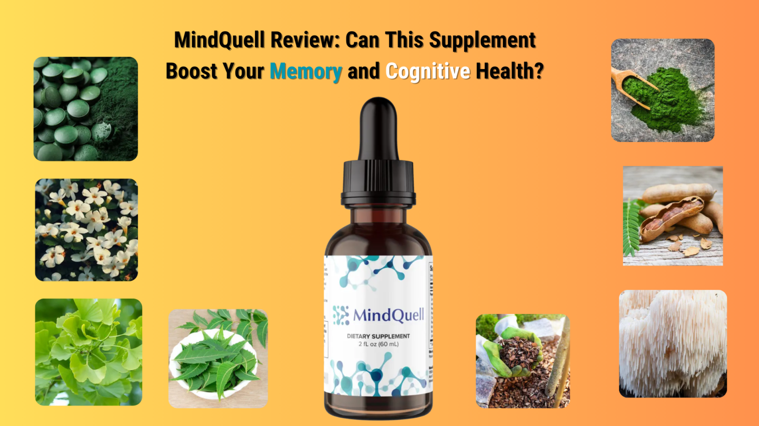 MindQuell Review: Can This Supplement Boost Your Memory and Cognitive ...