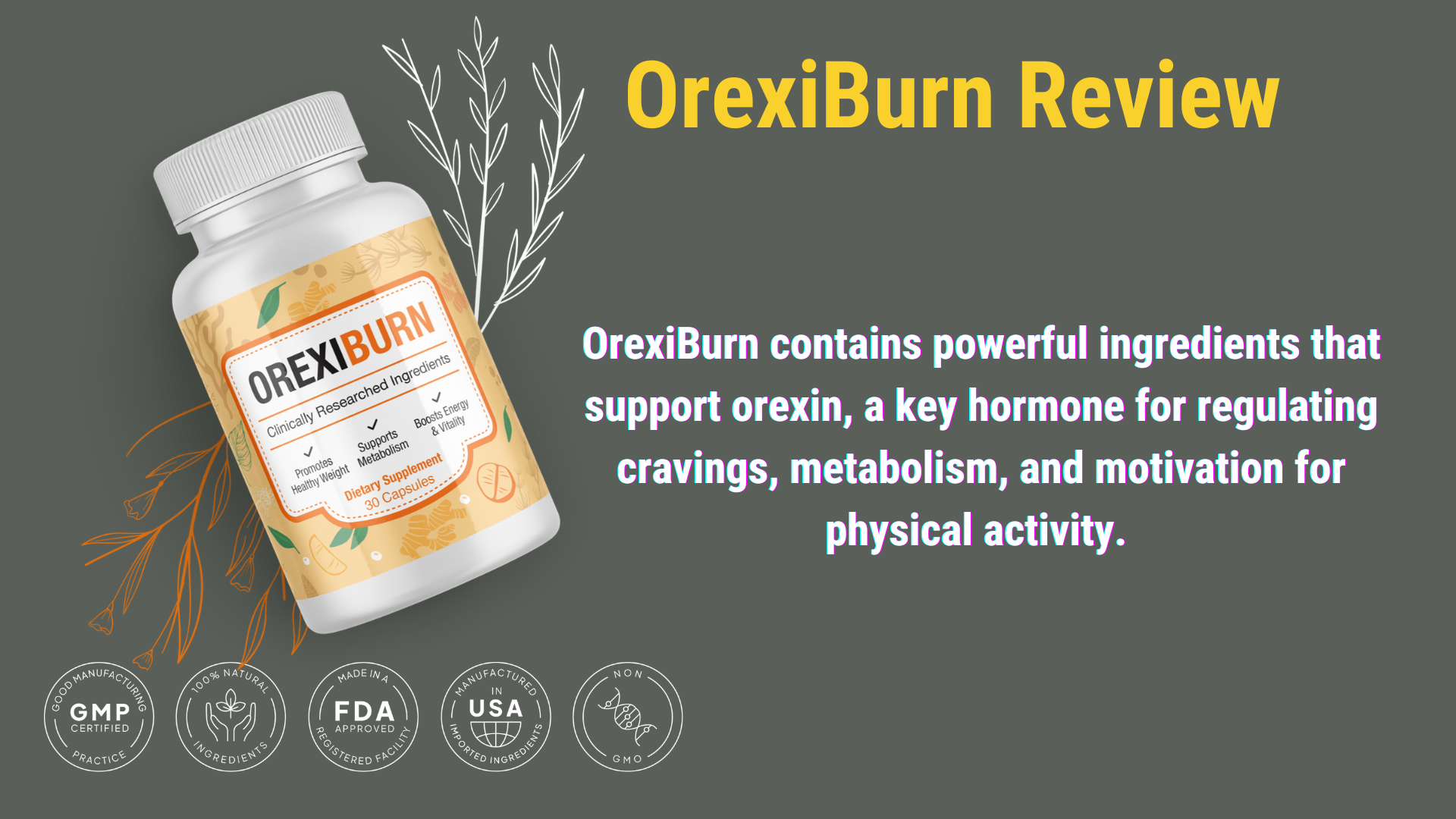 OrexiBurn Reviews: A Delicious and Healthy Way to Boost Metabolism